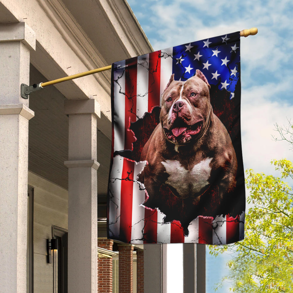 Pitbull American Flag – Flagwix