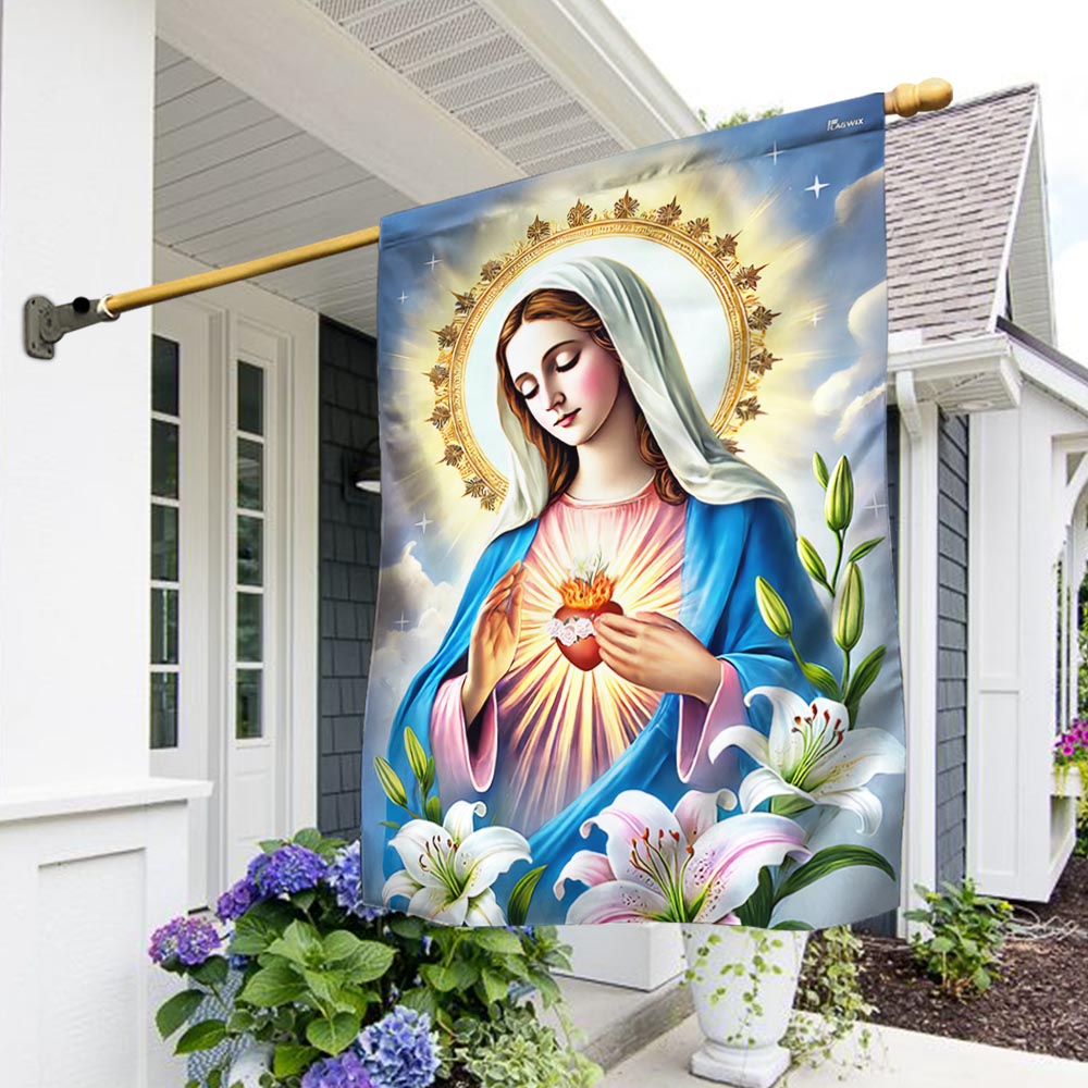 Immaculate Conception Virgin Mary Blessed Virgin Mary Flag – Flagwix