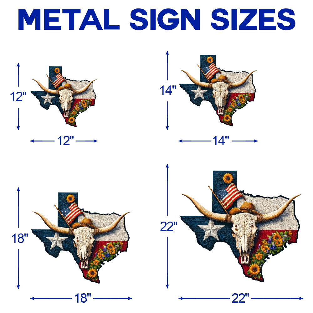 Texas Map Longhorn Hanging Metal Sign – Flagwix